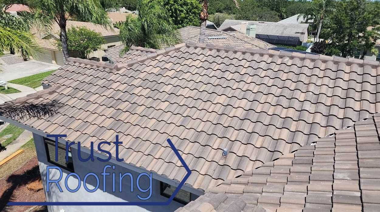 Trust Roofing - Dunedin, Florida